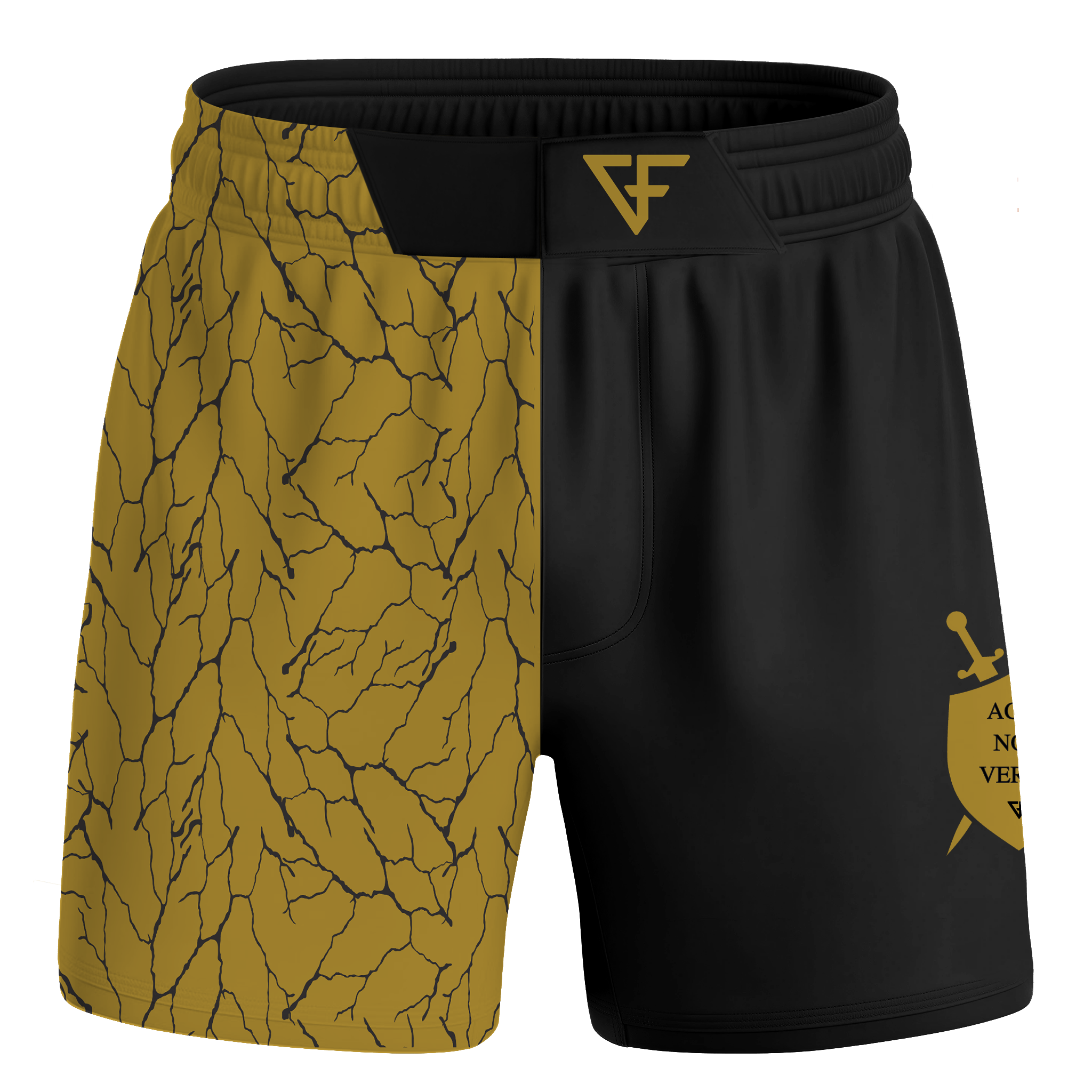 Ground Force ANV V2 Shorts — BJJ Fightgear